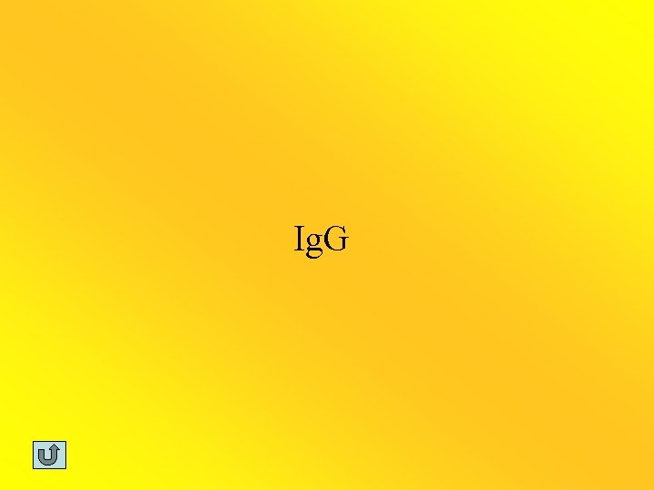 Antibodies Anatomy Lines of Defense Cells Grab Bag