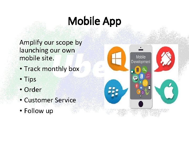 UBEFIT Integrated Marketing Communications Rose Heskey Sarah Montas