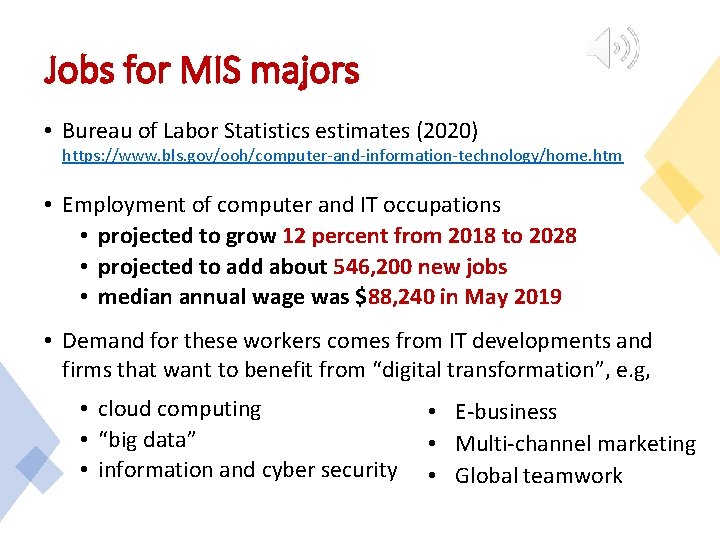 Majoring in Management Information Systems MIS Liz Davidson