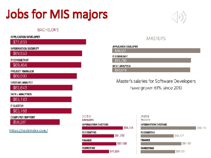 Majoring in Management Information Systems MIS Liz Davidson