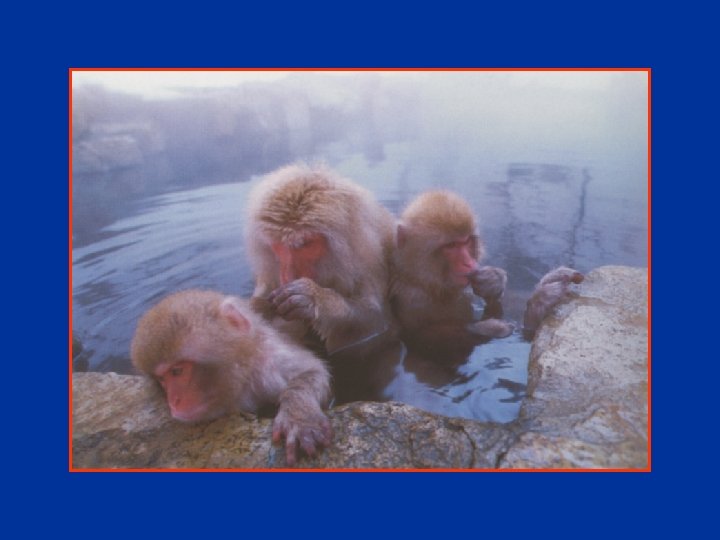 Innovation in balneotherapy challenge of new target diseases