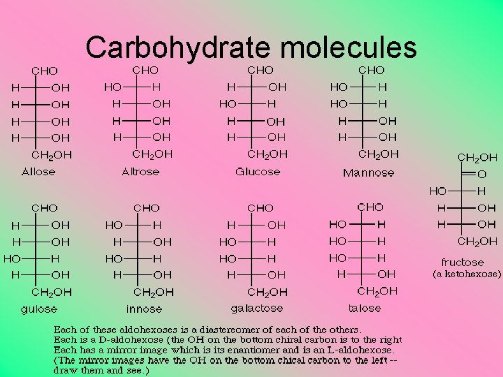 HB 2 A 1 Intro to Macromolecules Construct