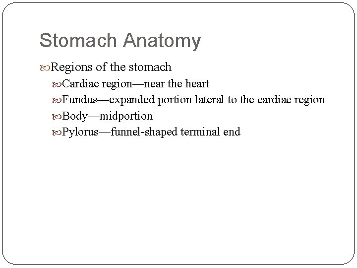 The Digestive System and Body Metabolism Stomach Anatomy