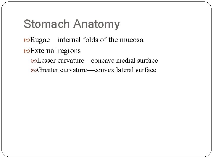 The Digestive System and Body Metabolism Stomach Anatomy