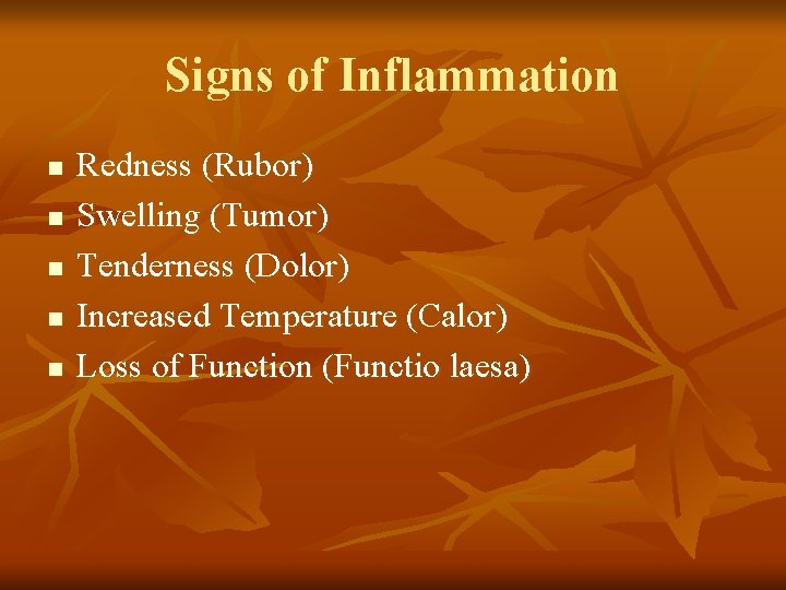 The Healing Process Stages of Healing n n