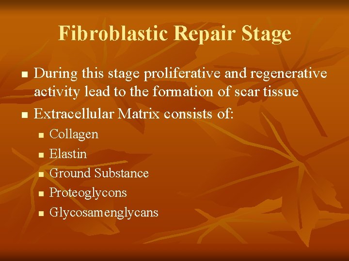 The Healing Process Stages of Healing n n