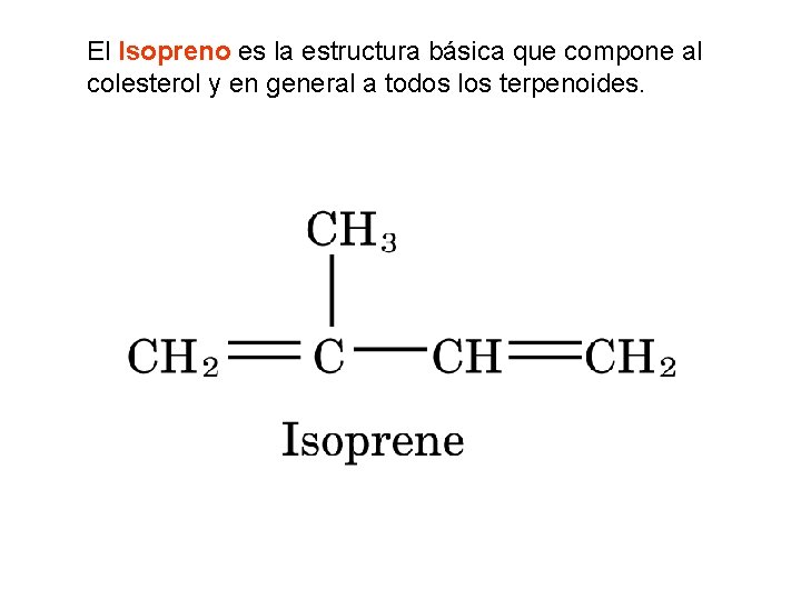 Metabolismo del Colesterol Dr Gino Corsini Bioqumico Ph