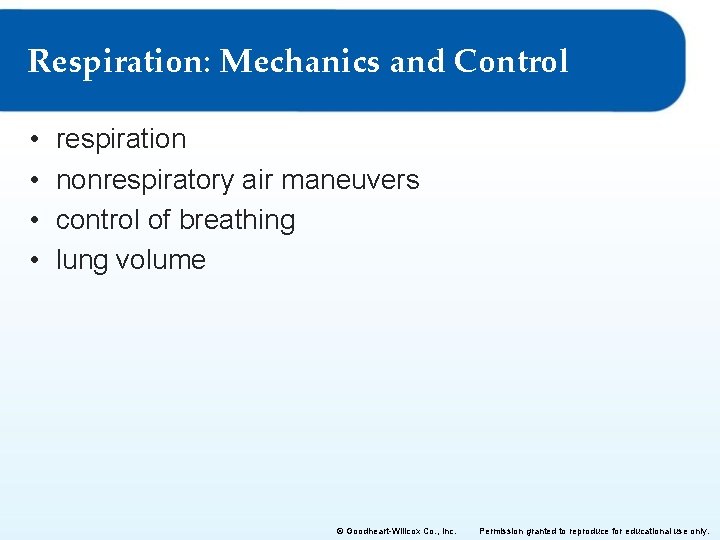 9 The Respiratory System Lesson 9 1 Functions