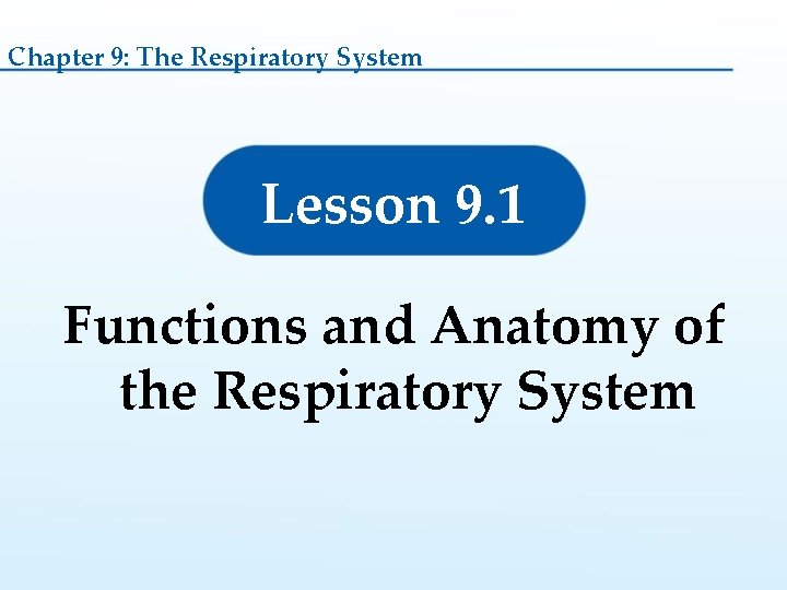 9 The Respiratory System Lesson 9 1 Functions