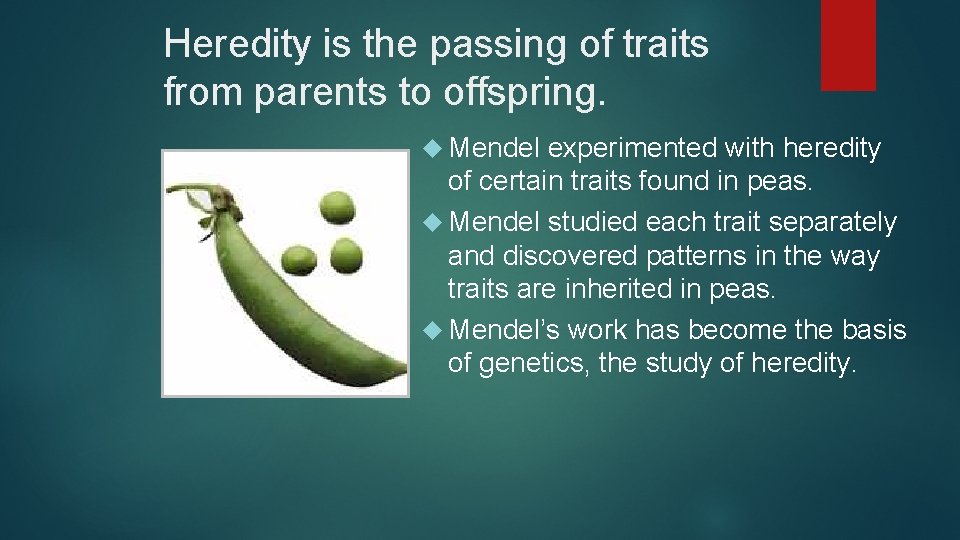 Biology CHAPTER 8 SECTION 1 PRINCIPLES OF GENETICSA
