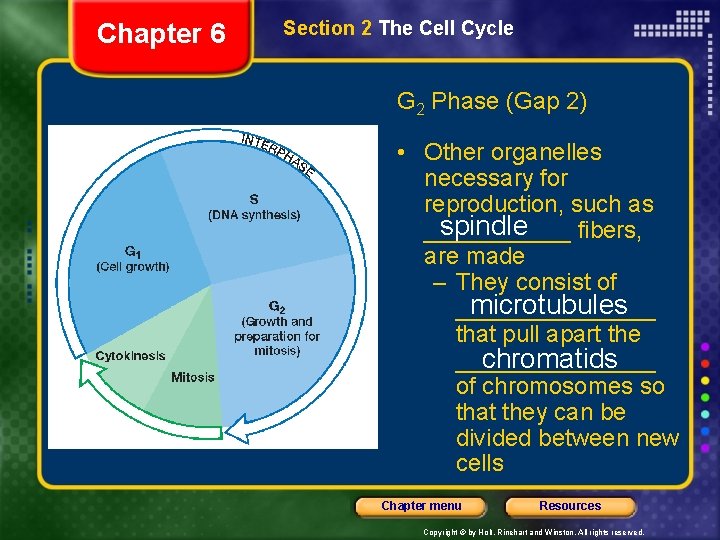 Chapter 6 Section 2 The Cell Cycle Objectives