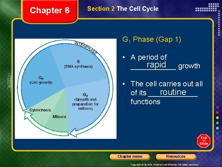 Chapter 6 Section 2 The Cell Cycle Objectives