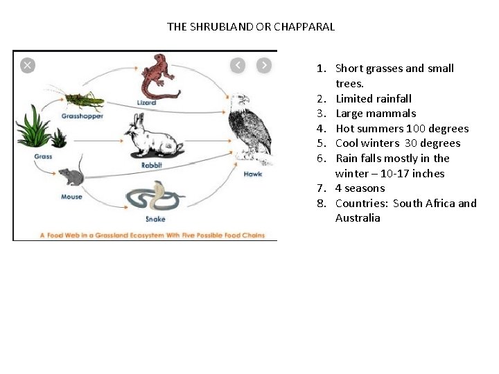 BIOMES Specific locations on the Earth that Support