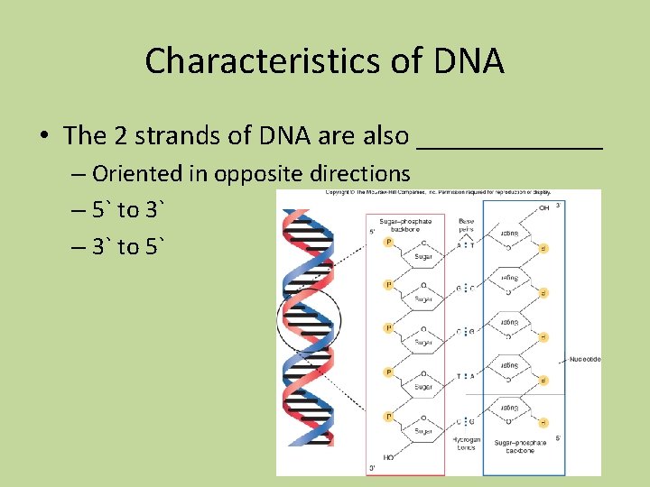 Chapter 7 Microbial Genetics The Blueprint of Life