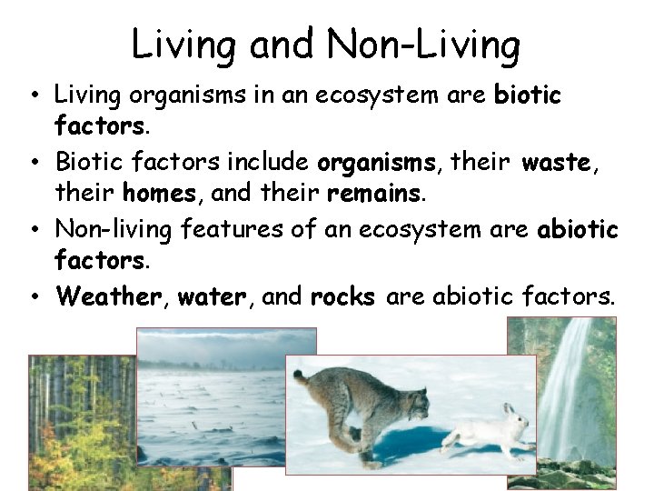 Unit 1 Sustainable Ecosystems and Human Activity Lesson