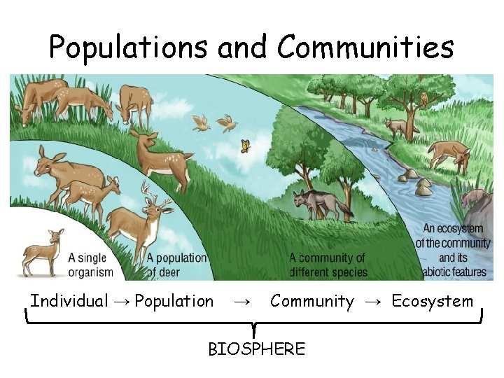 Unit 1 Sustainable Ecosystems and Human Activity Lesson