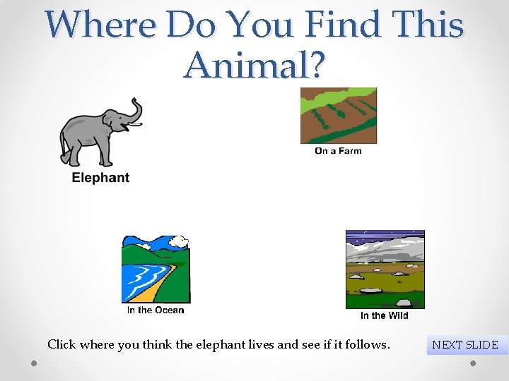 Where Do You Find These Animals By Miss