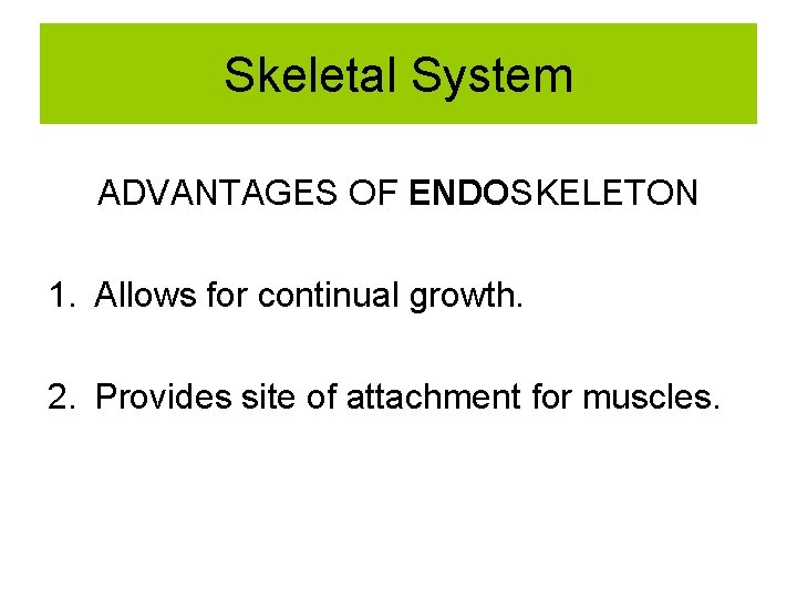 Skeletal System Skeletal System ADVANTAGES OF ENDOSKELETON 1