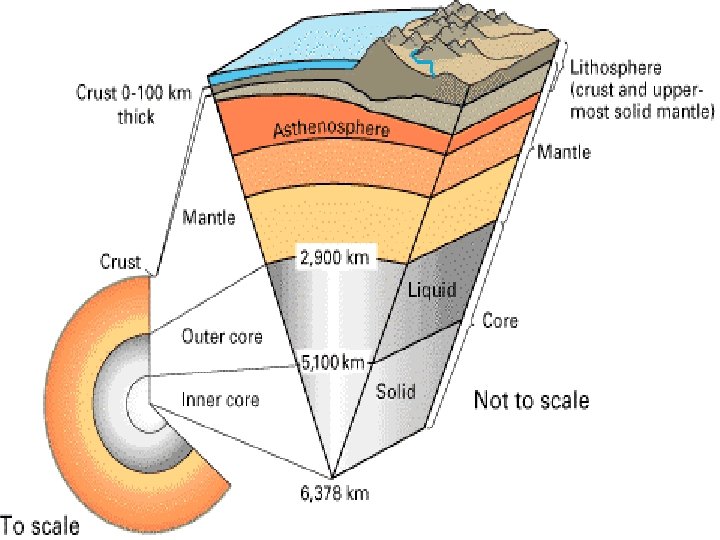 Components of Earth Biotic and Abiotic Factors Spaceship