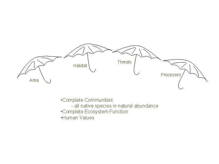 Selecting Focal Species for a Comprehensive Ecosystem Umbrella