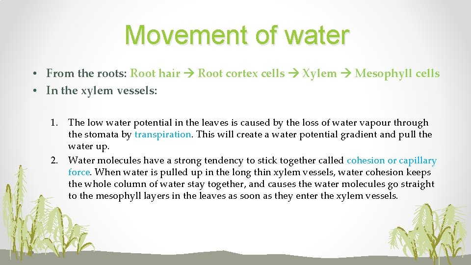 Exam Survival Guide IGCSE Biology Study Notes Topic