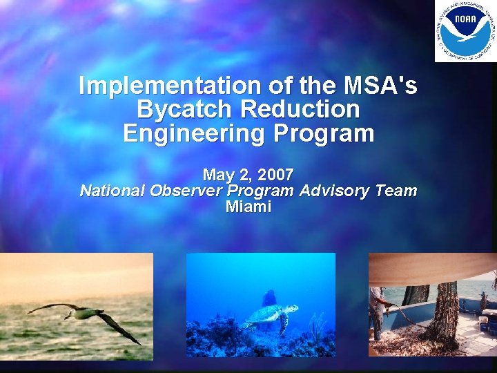 Implementation of the MSAs Bycatch Reduction Engineering Program