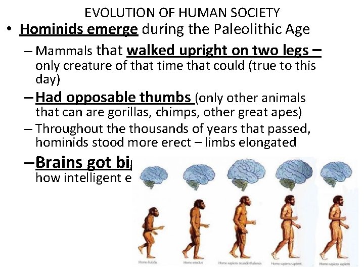 Beginning with PREHISTORY History is pretty expansive most