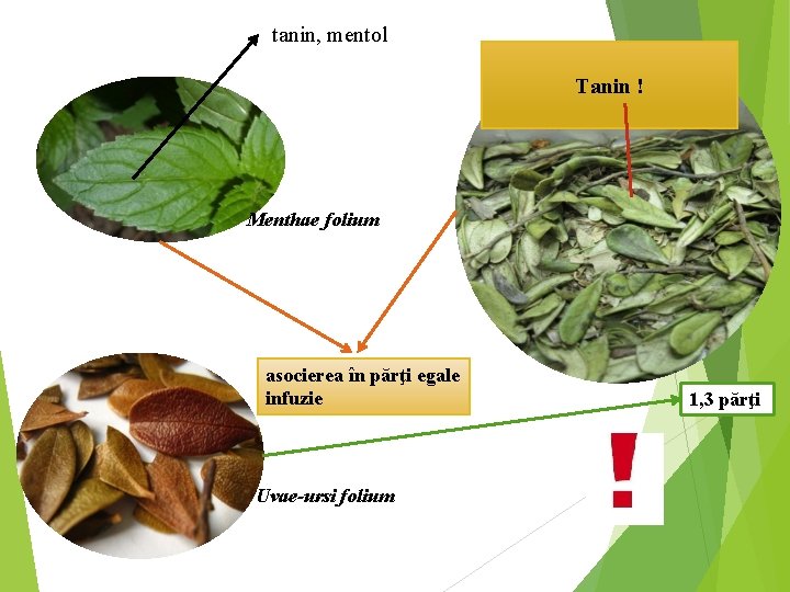 P RODUSE VEGETALE CU ARBUTOZID continuare Antiseptic urinar