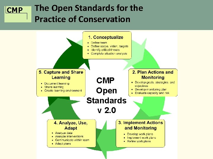 The Story of Washingtons Murder according to Bill