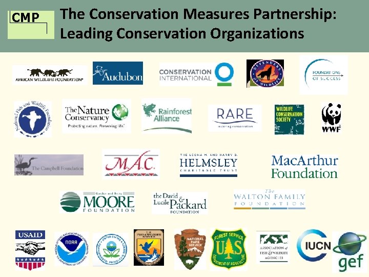 The Story of Washingtons Murder according to Bill