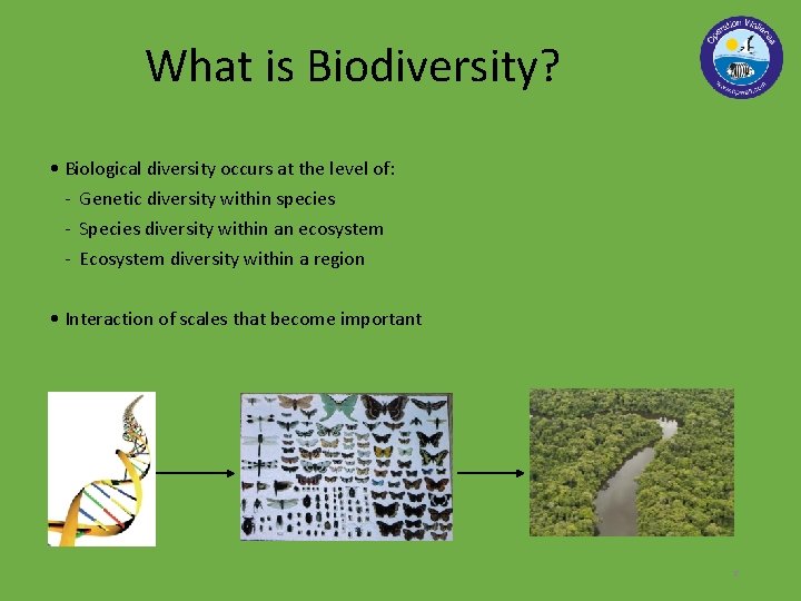 Lecture 1 Introduction to biodiversity Review of current