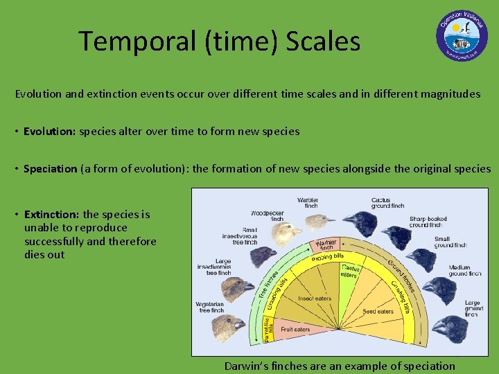 Lecture 1 Introduction to biodiversity Review of current