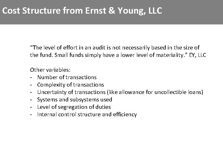 Cost Structure of the Annual Audit SAF November