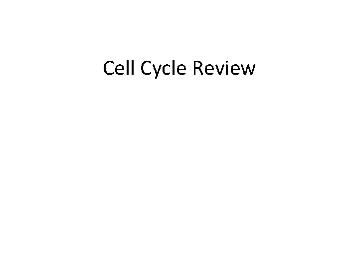 Cell Cycle Review A cells life is broken