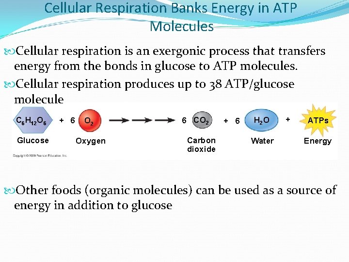 How Cells Harvest Chemical Energy Chapter 6 INTRODUCTION