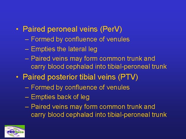 Lower Extremity Venous Anatomy SON 1311 CrossSectional Anatomy