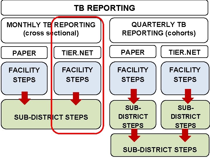REPORTING OF TB DATA OVERVIEW Data sets TB