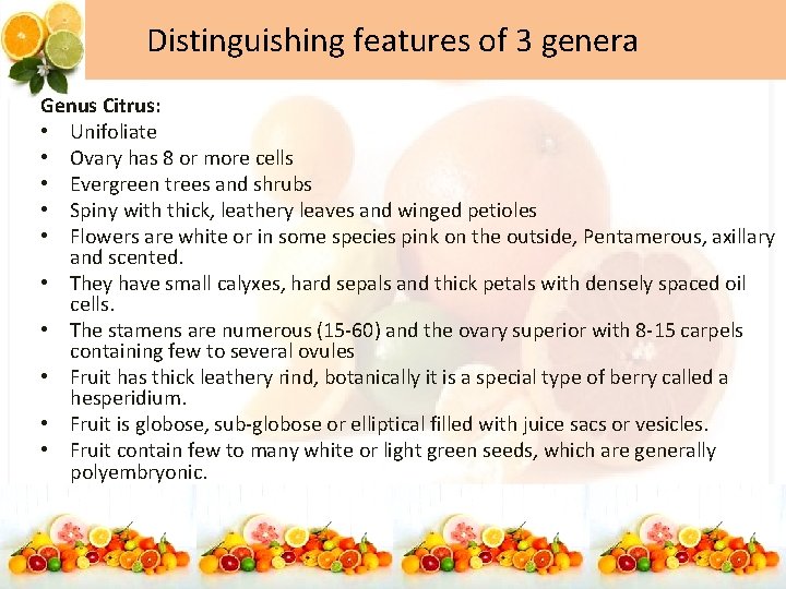 Citrus Introduction Origin South East Asia Family Rutaceae
