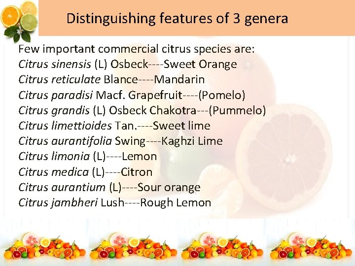 Citrus Introduction Origin South East Asia Family Rutaceae