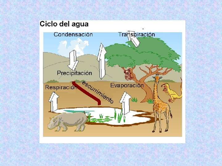 CICLOS BIOGEOQUMICOS EN ECOSISTEMA NATURALES Son procesos naturales