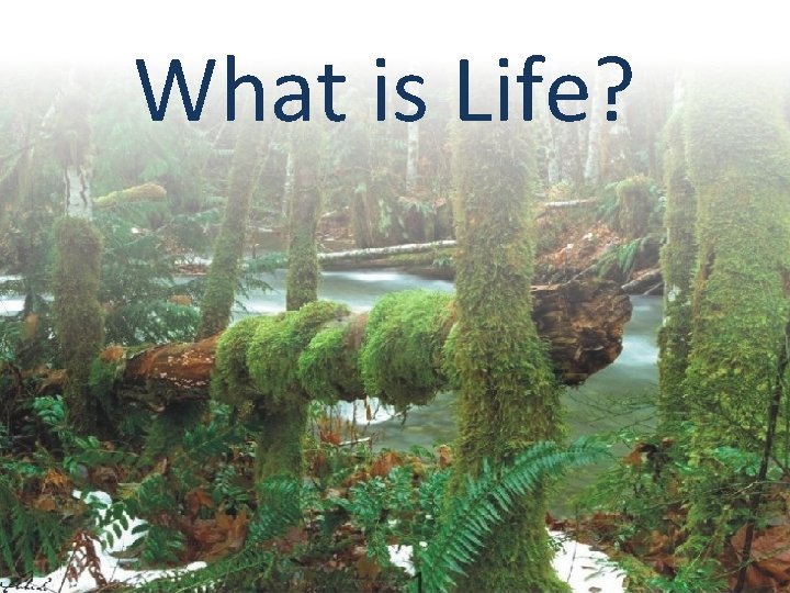 What is Life All matter is composed of