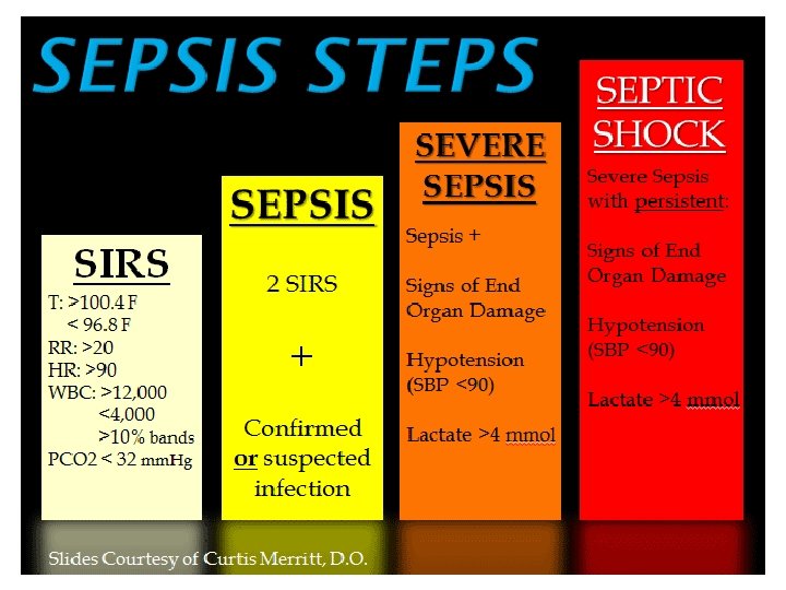 SIRS Sepsis and septic shock By Leen Alawneh