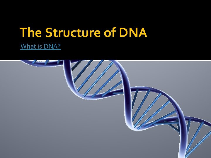 The Structure of DNA What is DNA History