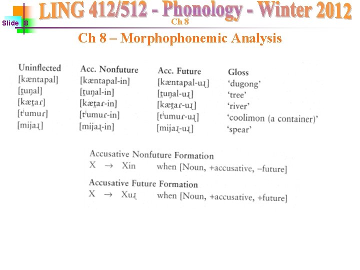Slide 1 Ch 8 Some hints about analysis