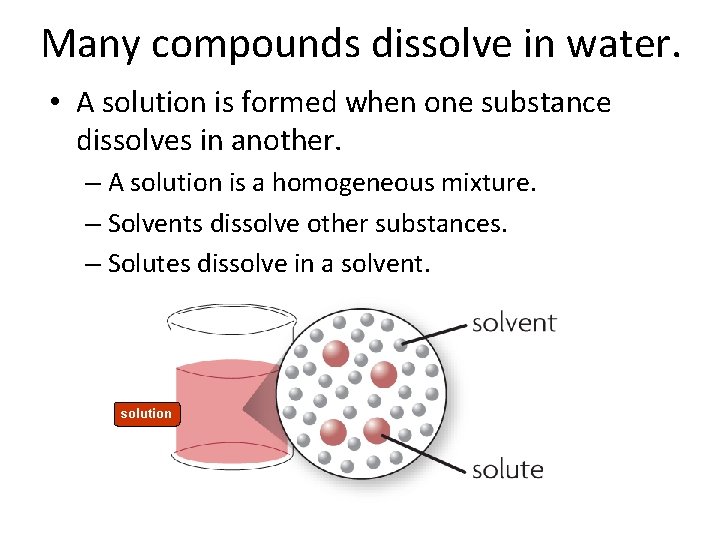 The Properties of Water Mrs Stephens Biology Agenda
