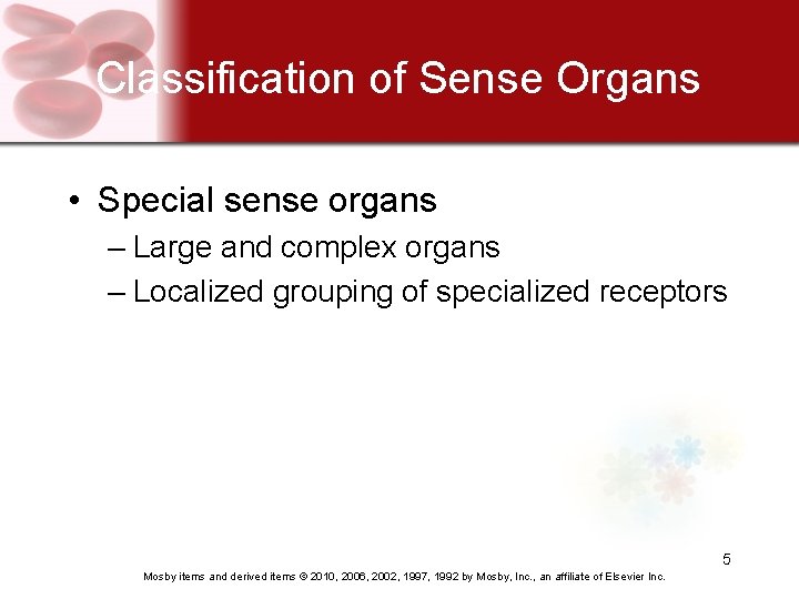 Chapter 10 The Senses Mosby items and derived