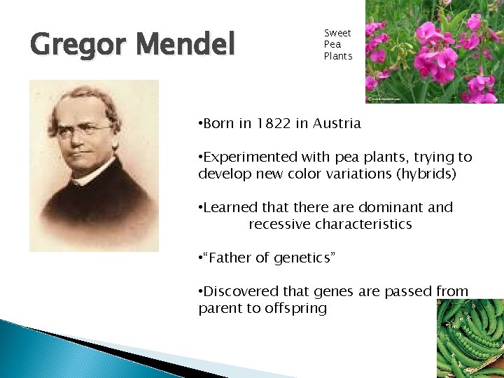 Notable Figures in Biotechnology History Hippocrates Born in