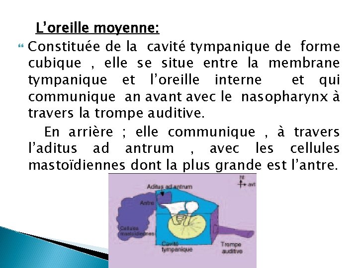 Radioanatomie TDM et IRM du rocher R Labbioui
