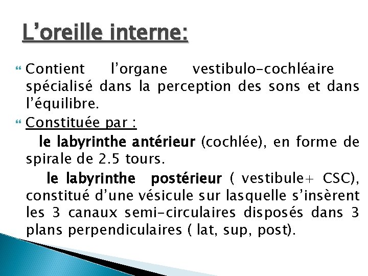 Radioanatomie TDM et IRM du rocher R Labbioui