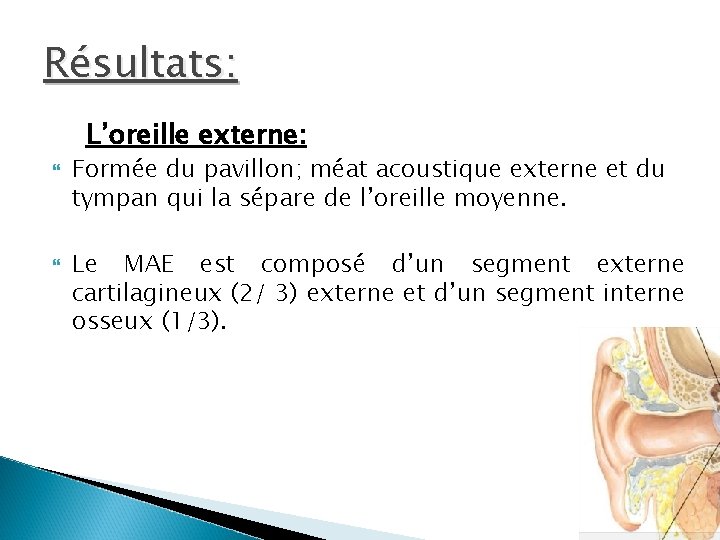 Radioanatomie TDM et IRM du rocher R Labbioui